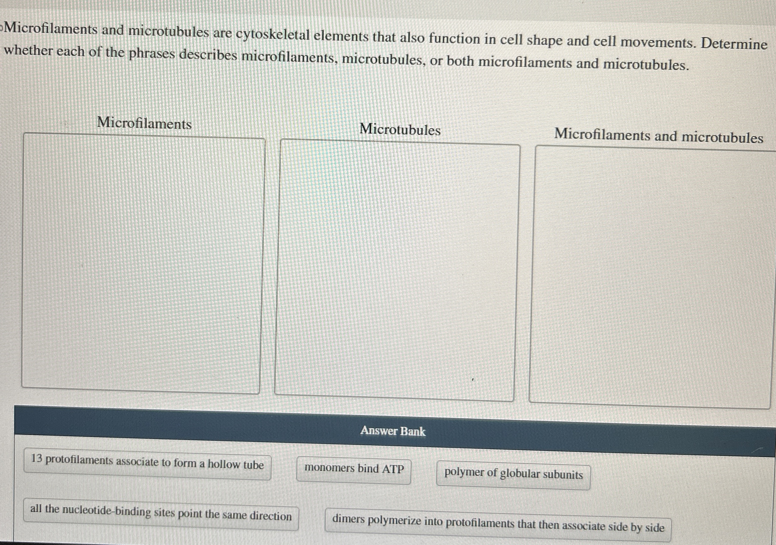 Solved Microfilaments and microtubules are cytoskeletal | Chegg.com