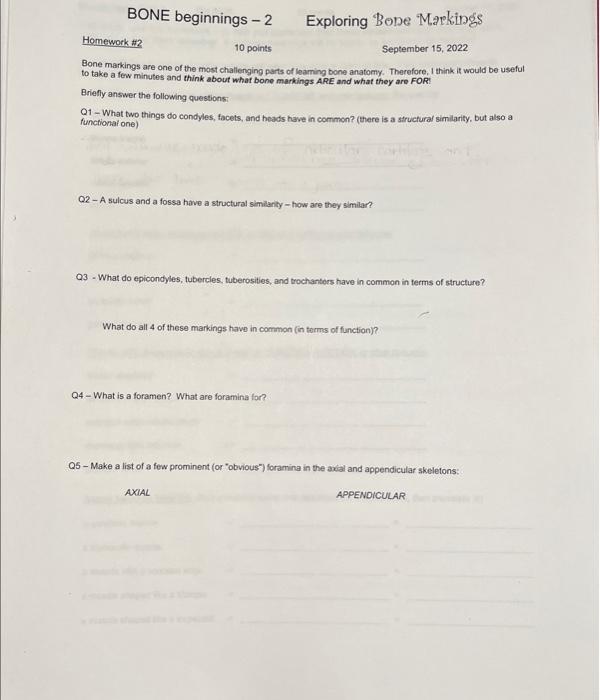 Solved Bone markings are one of the most challenging parts | Chegg.com