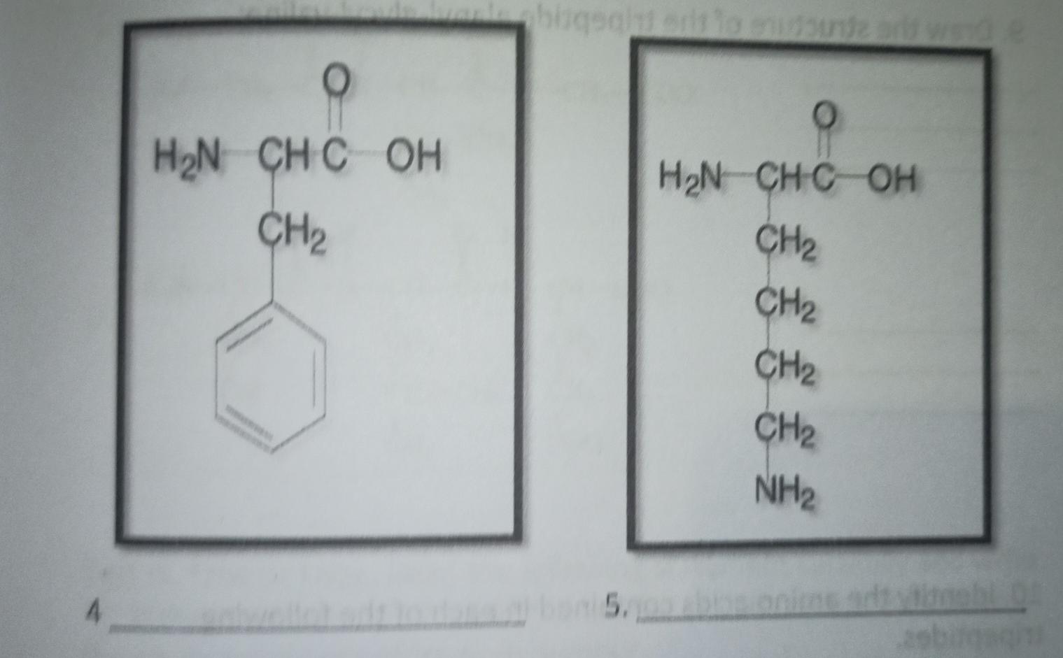 Solved H2N CHC OH CH2 H2N-CH C OH CH₂ CH₂ CH₂ CH₂ NH2 А 5. | Chegg.com