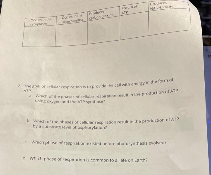 Solved Cellular Respiration Overview 1. Cellular respiration | Chegg.com