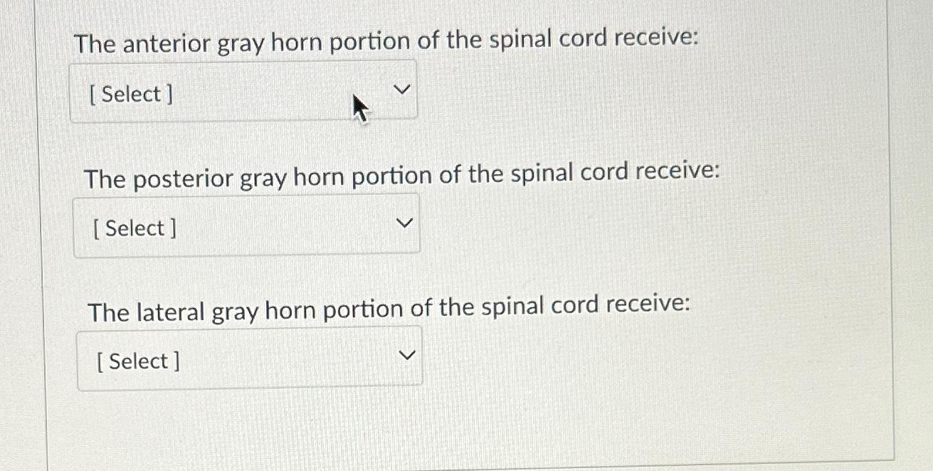 Solved The anterior gray horn portion of the spinal cord | Chegg.com