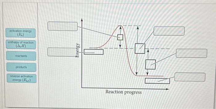 Solved hello! please lebel rhe diagram! thankyou 💓👍🏻 | Chegg.com