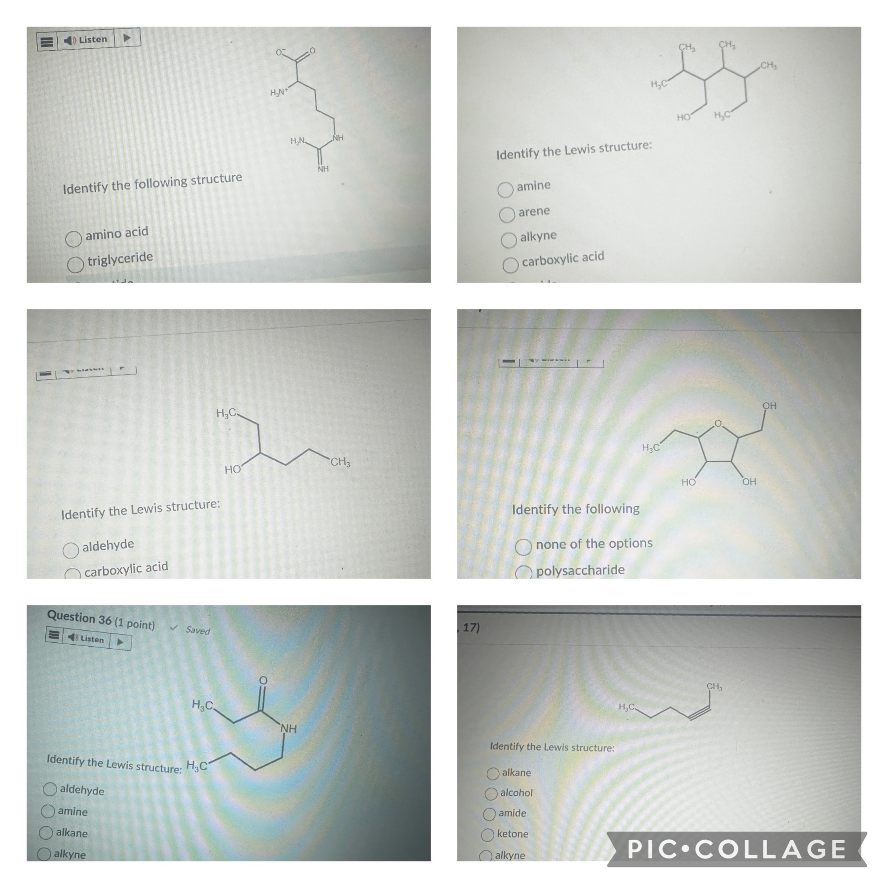 Solved Help me with identifying these structures please! | Chegg.com