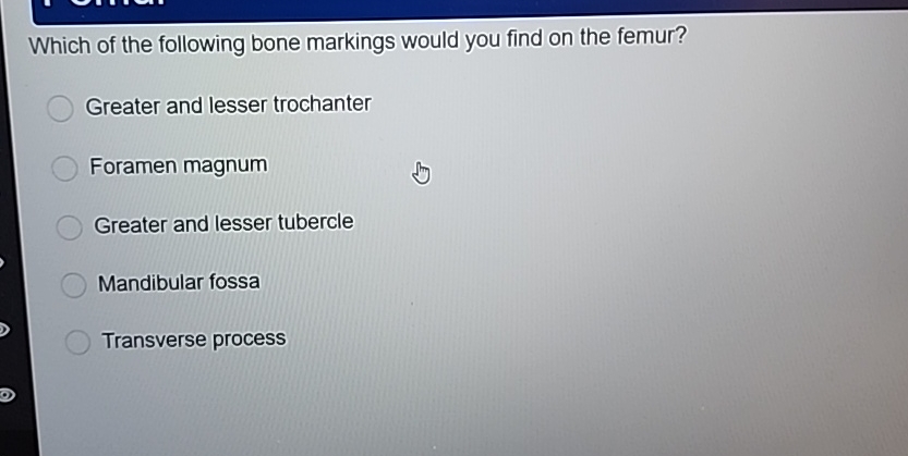 Solved Which of the following bone markings would you find | Chegg.com