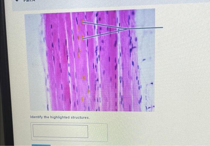 Solved Part A Identify the highlighted structure. Submit | Chegg.com
