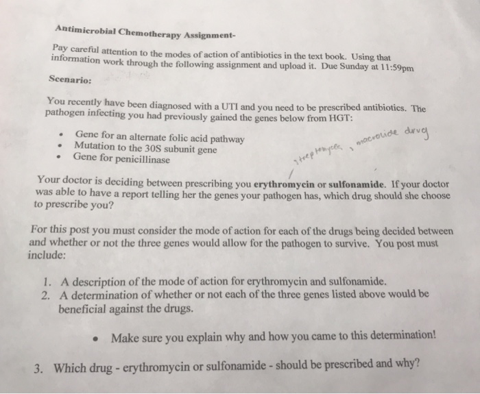 Solved Antimicrobial Chemotherapy Assignment- Pay careful | Chegg.com