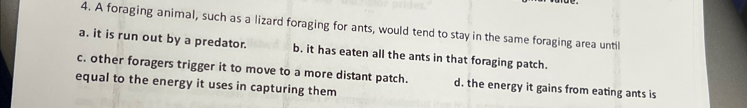 Solved A foraging animal, such as a lizard foraging for | Chegg.com