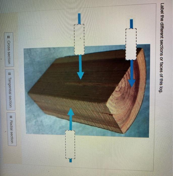 Solved Label the different sections or faces of this log. :: | Chegg.com