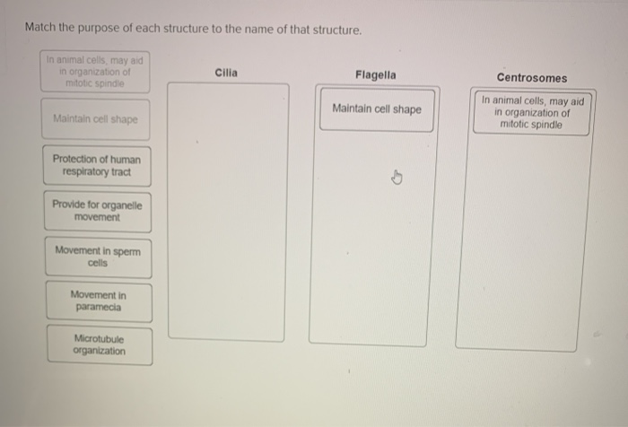 Solved Match the purpose of each structure to the name of | Chegg.com