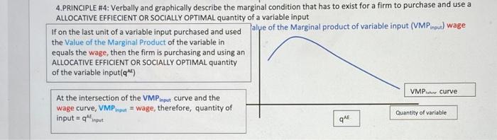 Solved 4.PRINCIPLE #4: Verbally and graphically describe the | Chegg.com