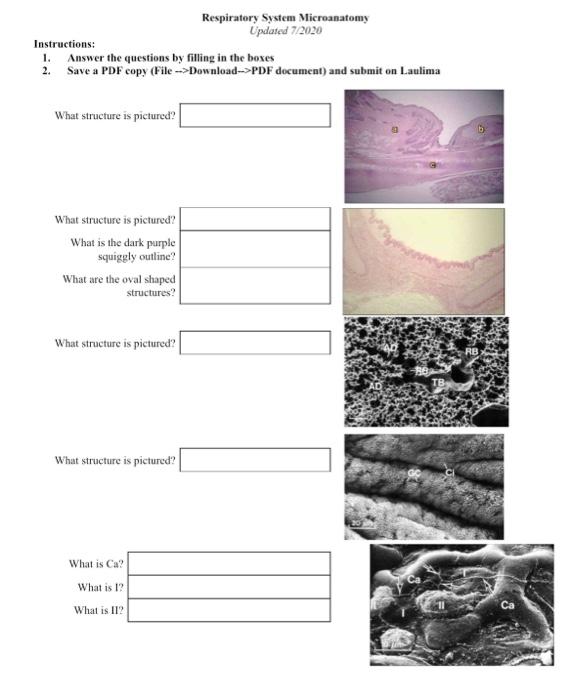 What is the arrow pointing to?Instructions: 1. Answer | Chegg.com
