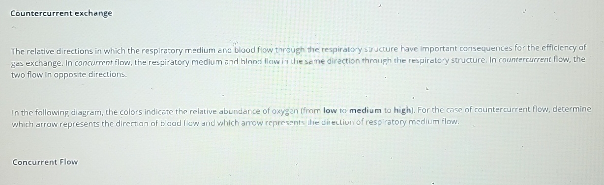 Solved Countercurrent exchangeThe relative directions in | Chegg.com