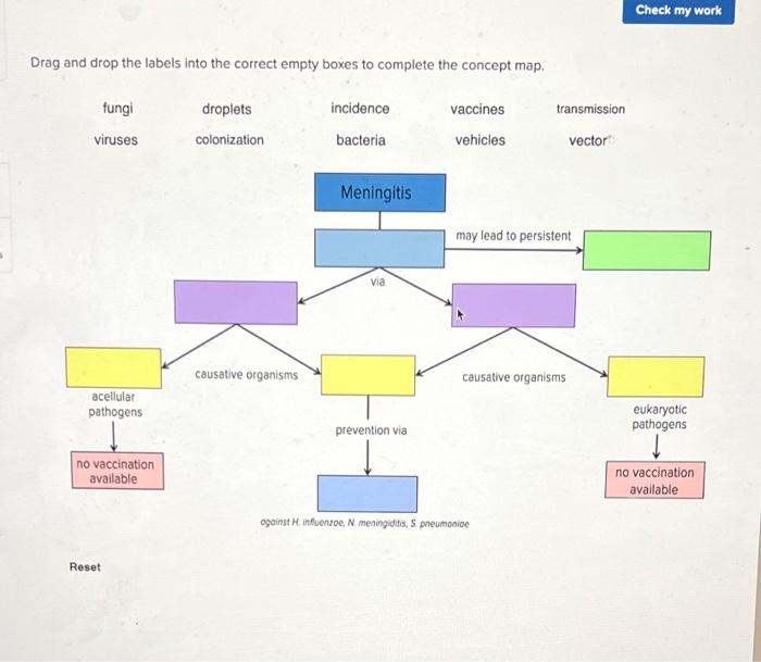 [solved] 5 Drag And Drop The Labels Into The Correct Empty