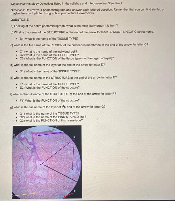 Solved . Objectives: Histology Objectives listed in the | Chegg.com