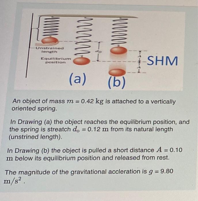 Solved mw clo Unstrained length Equilibrium position SHM (a) | Chegg.com