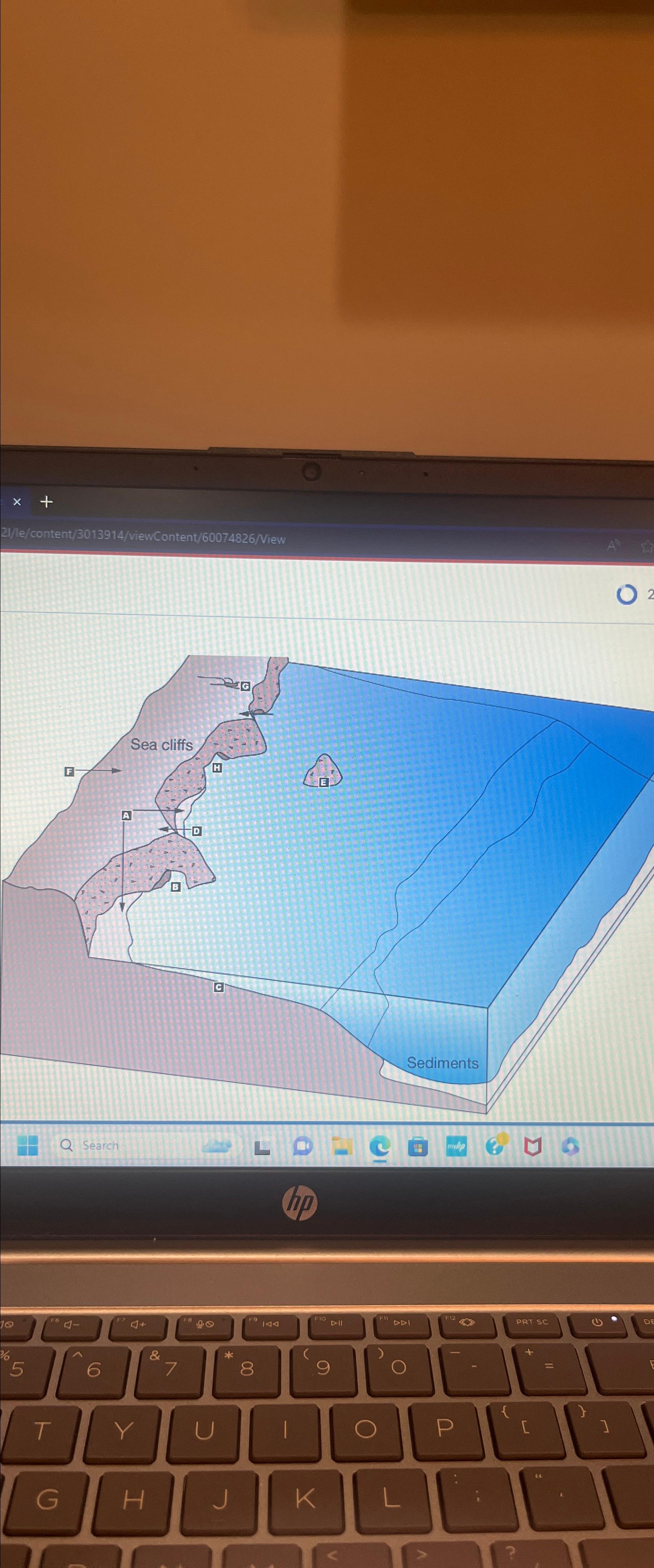 Solved The accompanying diagram shows Shoreline features | Chegg.com