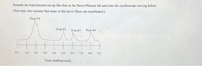 Solved Assume an experimental set-up like that in the | Chegg.com