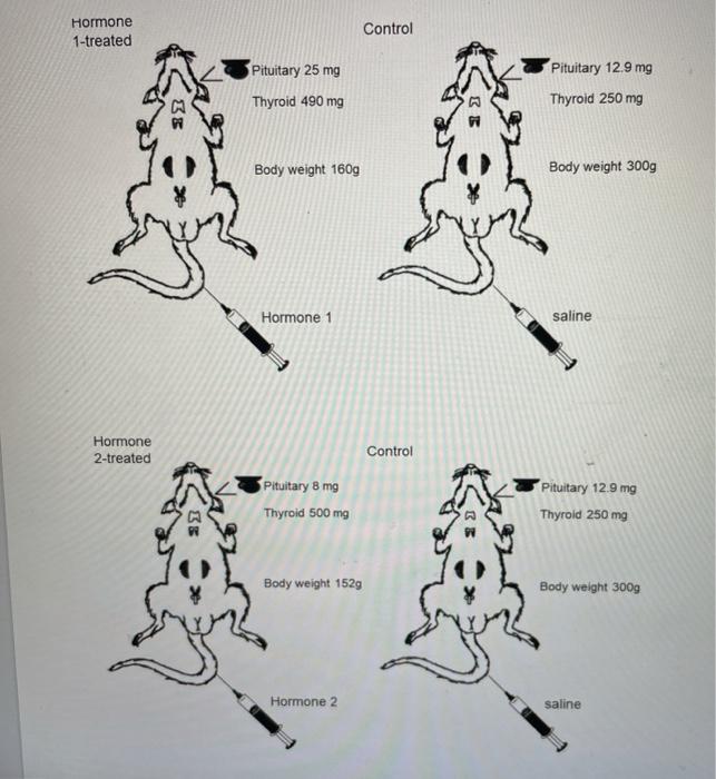 Solved . . Module 3: Virtual Rats exercise This activity has | Chegg.com