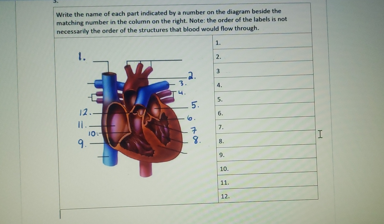 Solved Write the name of each part indicated by a number on | Chegg.com