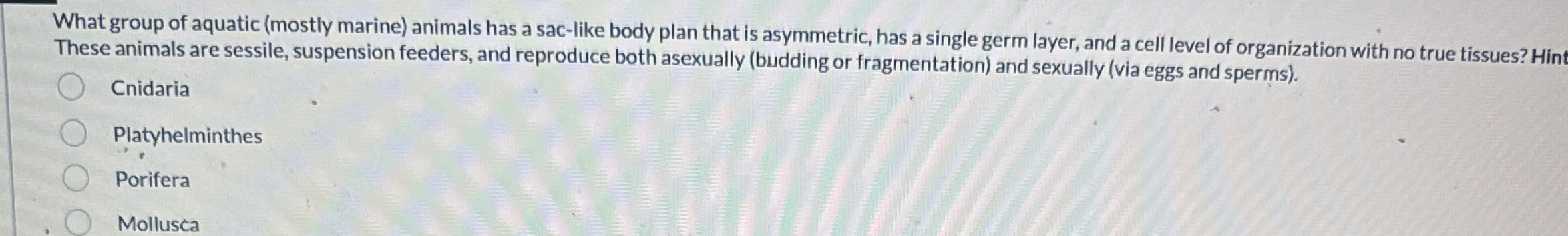 Solved What group of aquatic (mostly marine) ﻿animals has a | Chegg.com