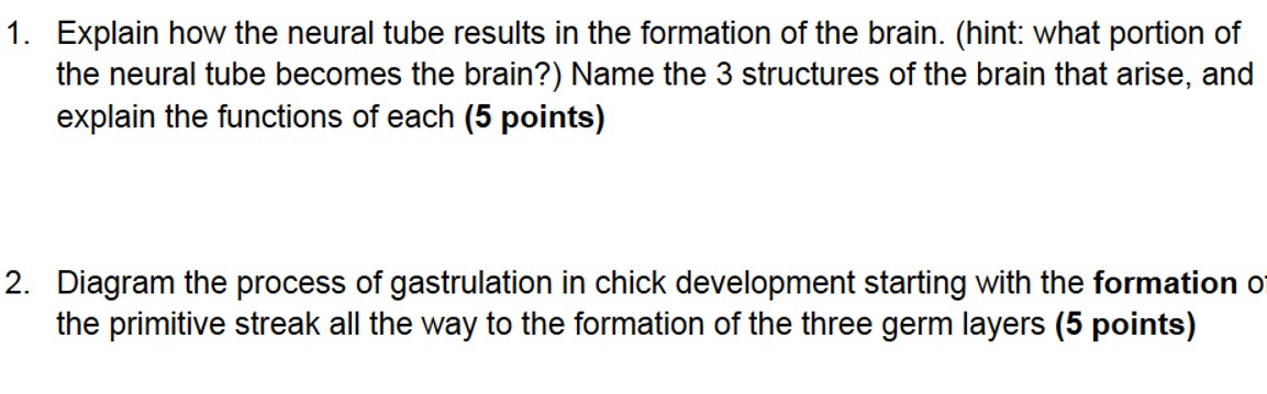 Solved 1. ﻿Explain how the neural tube results in the | Chegg.com
