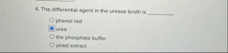 Solved The differential agent in the urease broth isphenol | Chegg.com