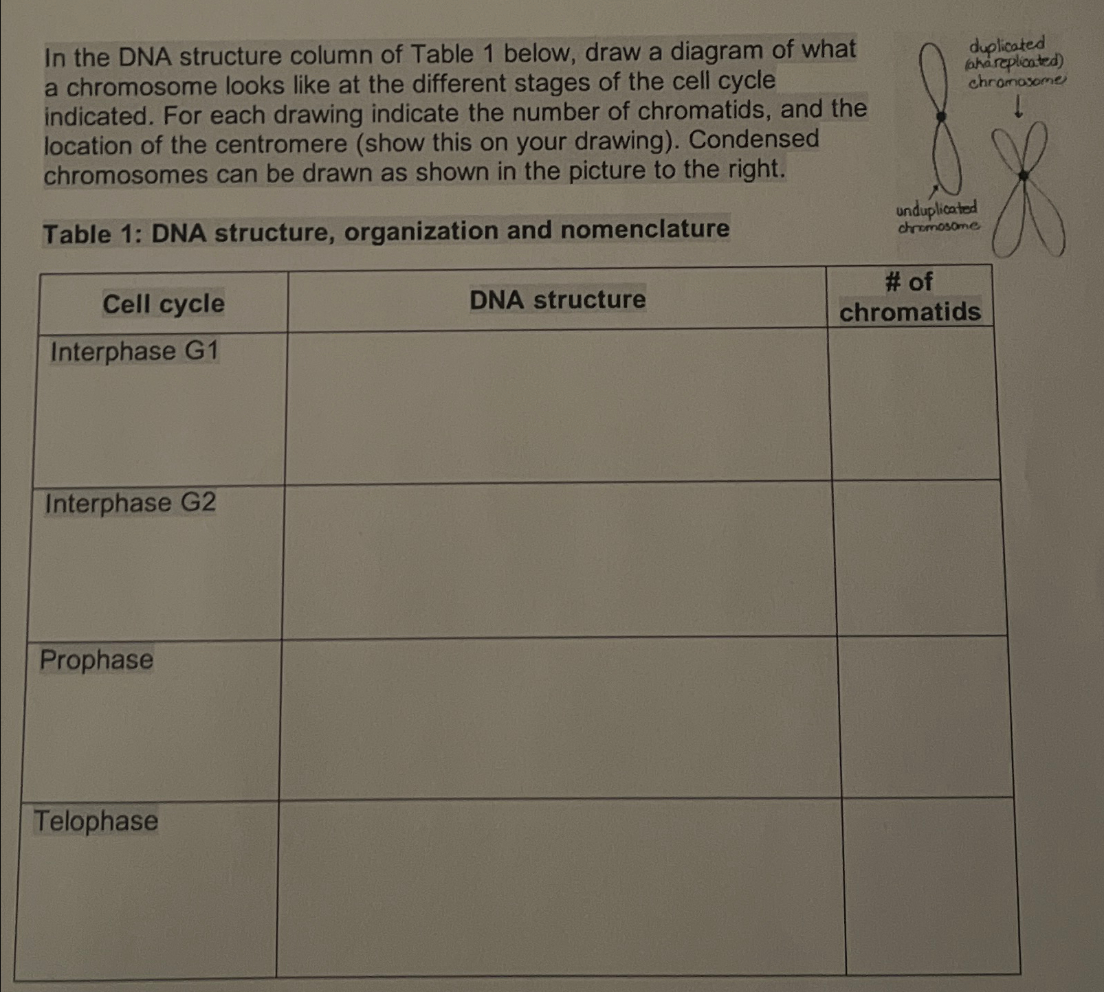 Solved In the DNA structure column of Table 1 ﻿below, draw a | Chegg.com