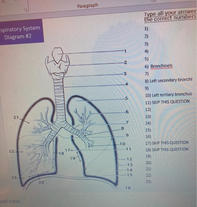 Solved Paragraph Type all your answer the correct numbers | Chegg.com
