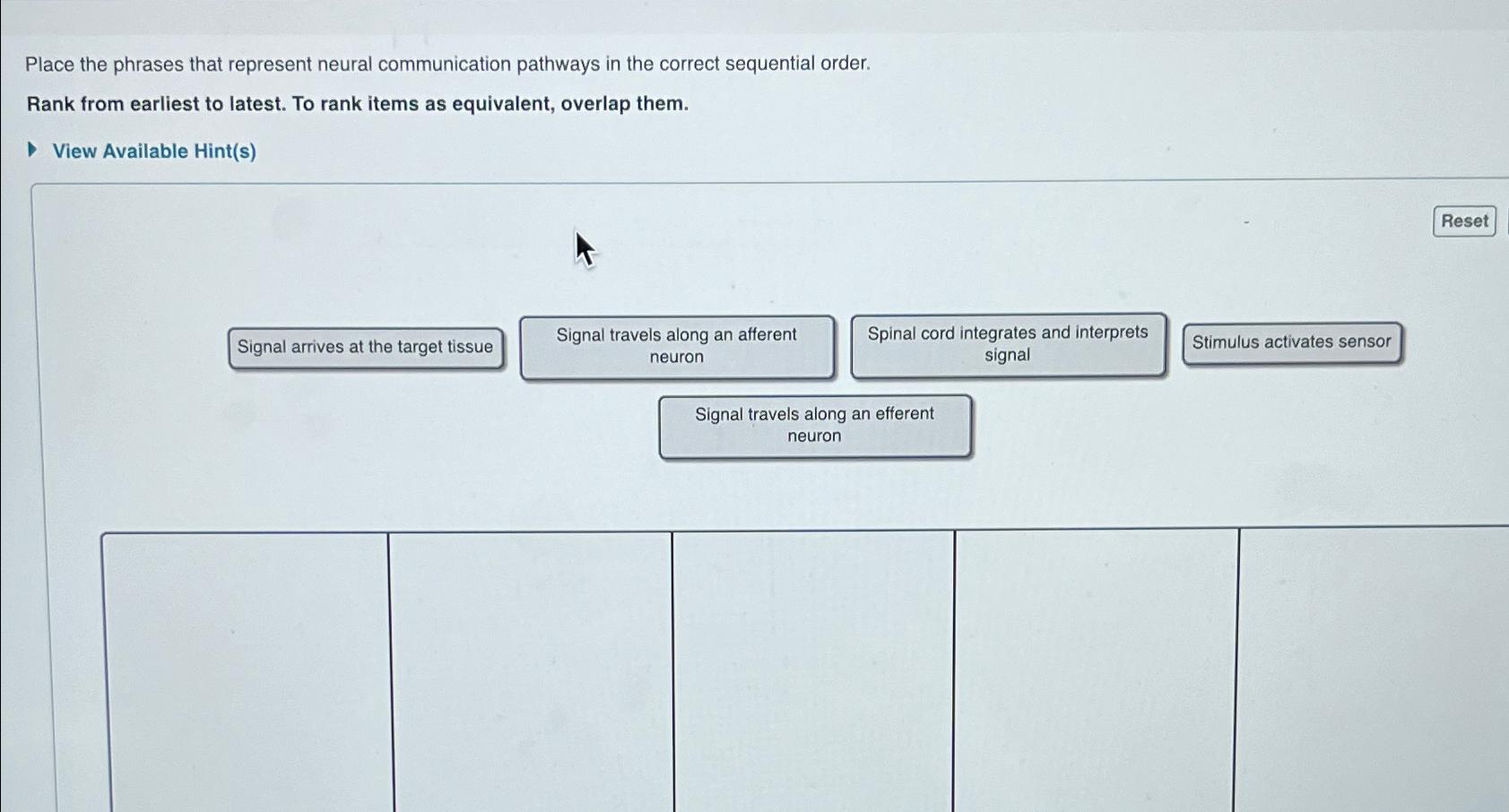 Solved Place the phrases that represent neural communication | Chegg.com