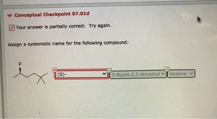 Solved Conceptual Checkpoint 07.01d Your answer is partially | Chegg.com