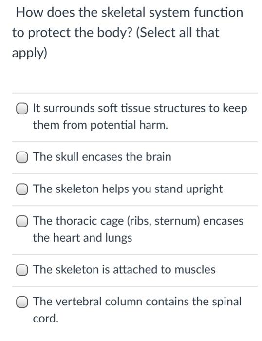 Solved How does the skeletal system function to protect the | Chegg.com
