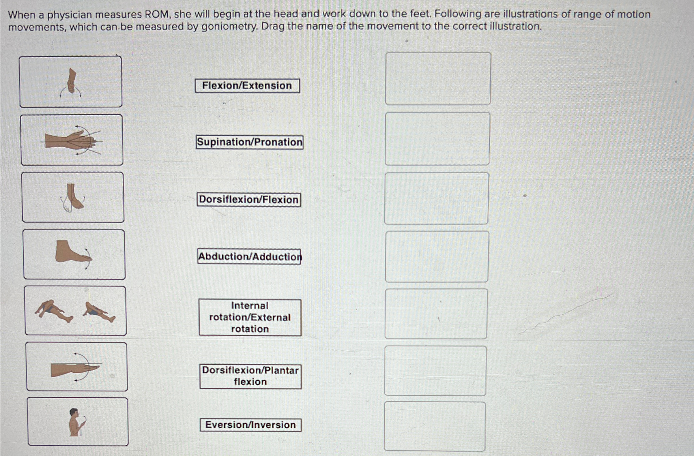 Solved When a physician measures ROM, she will begin at the | Chegg.com