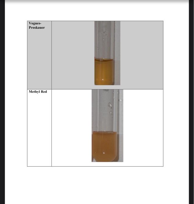 Solved Fill out the information for the data bacteria sheet, | Chegg.com
