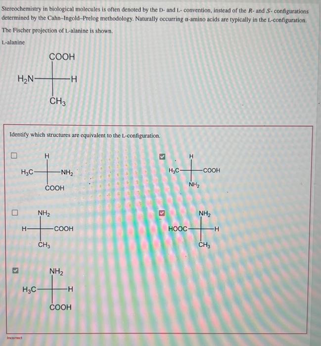 Stereochemistry in biological molecules is often | Chegg.com