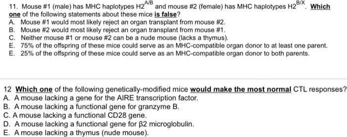 11. Mouse #1 (male) has MHC haplotypes H2 and mouse | Chegg.com