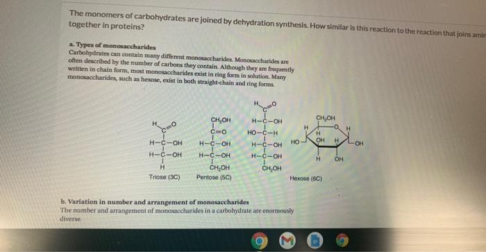 Solved The monomers of carbohydrates are joined by | Chegg.com