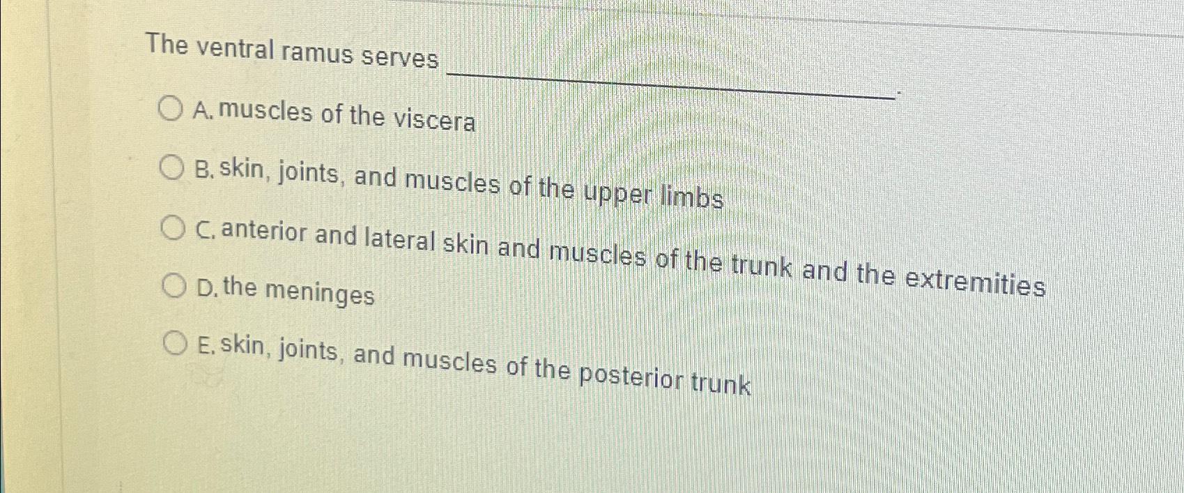 Solved The ventral ramus servesA. ﻿muscles of the visceraB. | Chegg.com