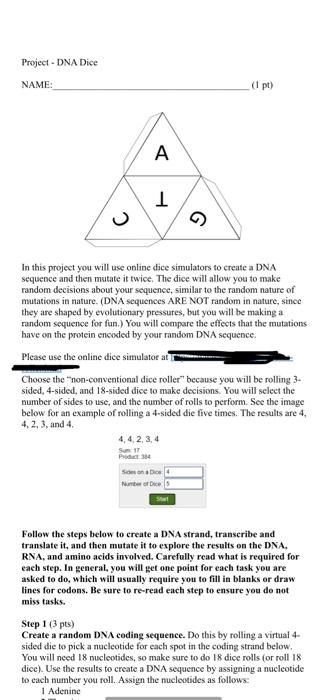 Solved Project - DNA Dice NAME: (1 pt) Α. 1 2 In this | Chegg.com