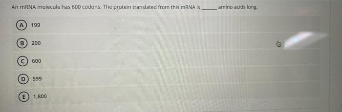 Solved An mRNA molecule has 600 codons. The protein | Chegg.com