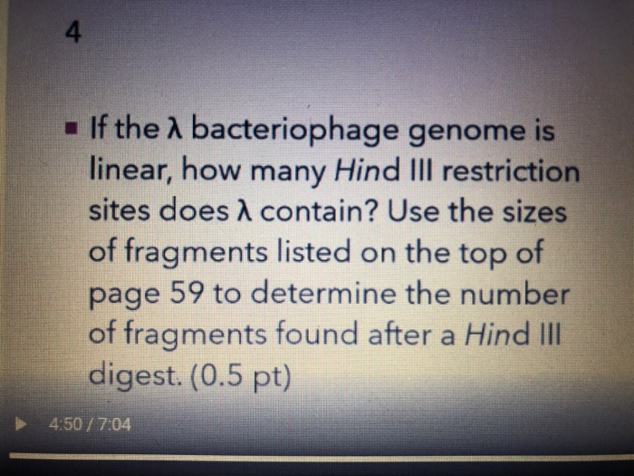 Solved . If the 1 bacteriophage genome is linear, how many | Chegg.com