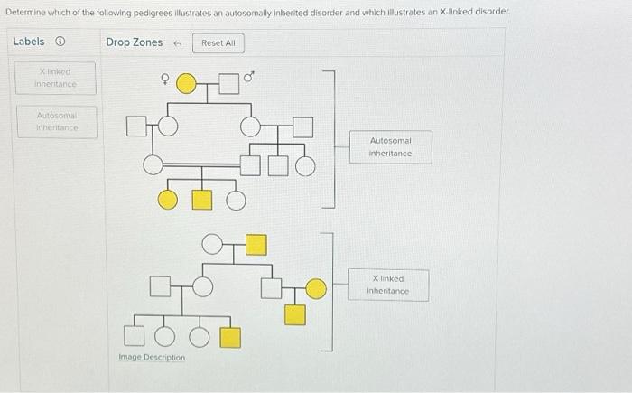 Solved Determine which of the following pedigrees | Chegg.com