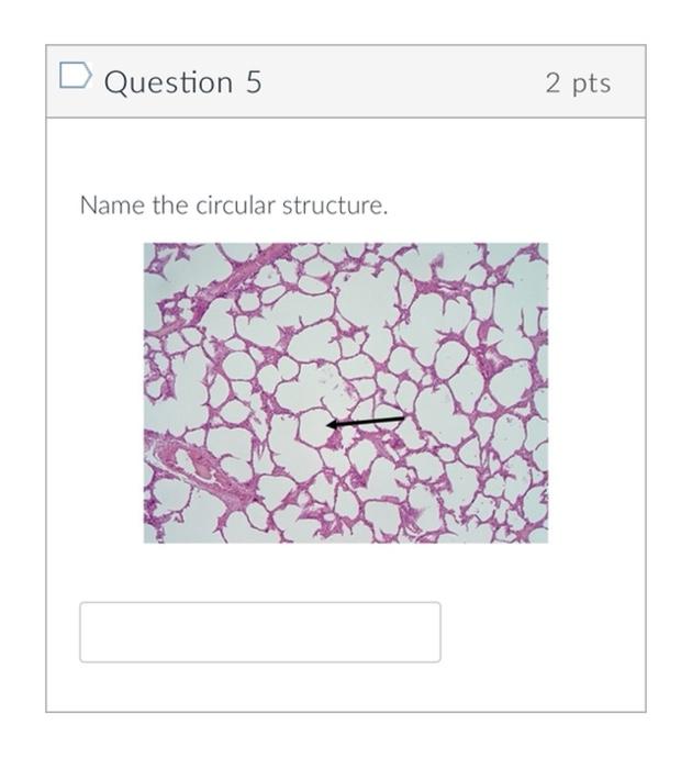 Solved D Question 5 2 pts Name the circular structure. . | Chegg.com
