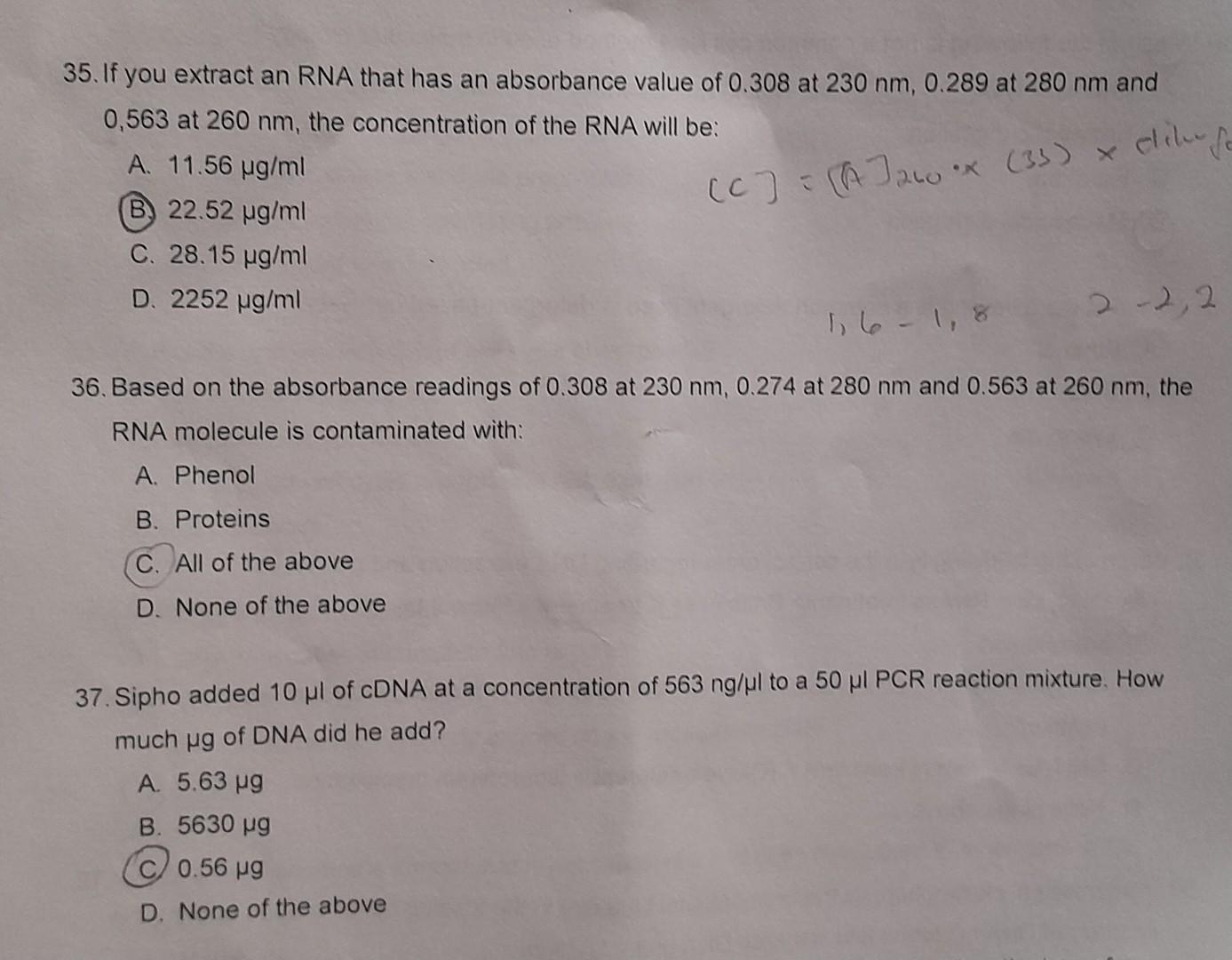 Solved 35. If you extract an RNA that has an absorbance | Chegg.com