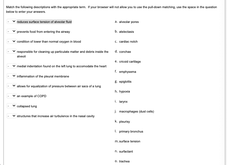 Solved Match the following descriptions with the appropriate | Chegg.com