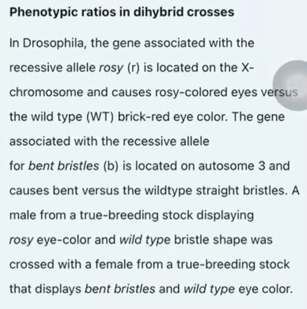 Solved Phenotypic ratios in dihybrid crossesIn Drosophila, | Chegg.com