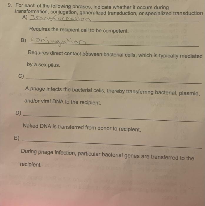 Solved 9. For each of the following phrases, indicate | Chegg.com
