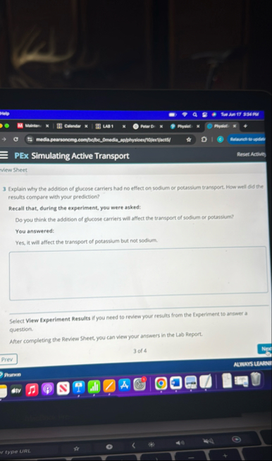 Solved PEx Simulating Active TransportReset Rownview Sheet3 | Chegg.com