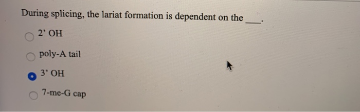 Solved During splicing, the lariat formation is dependent on | Chegg.com