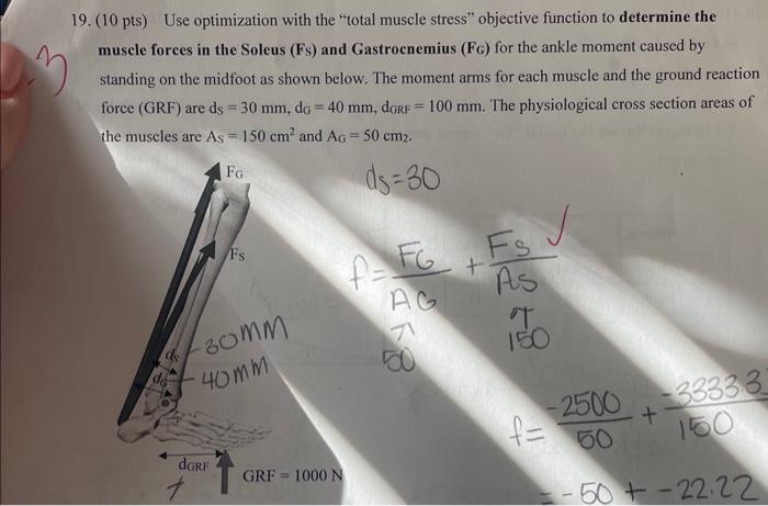 Solved 9. (10 pts) Use optimization with the "total muscle | Chegg.com