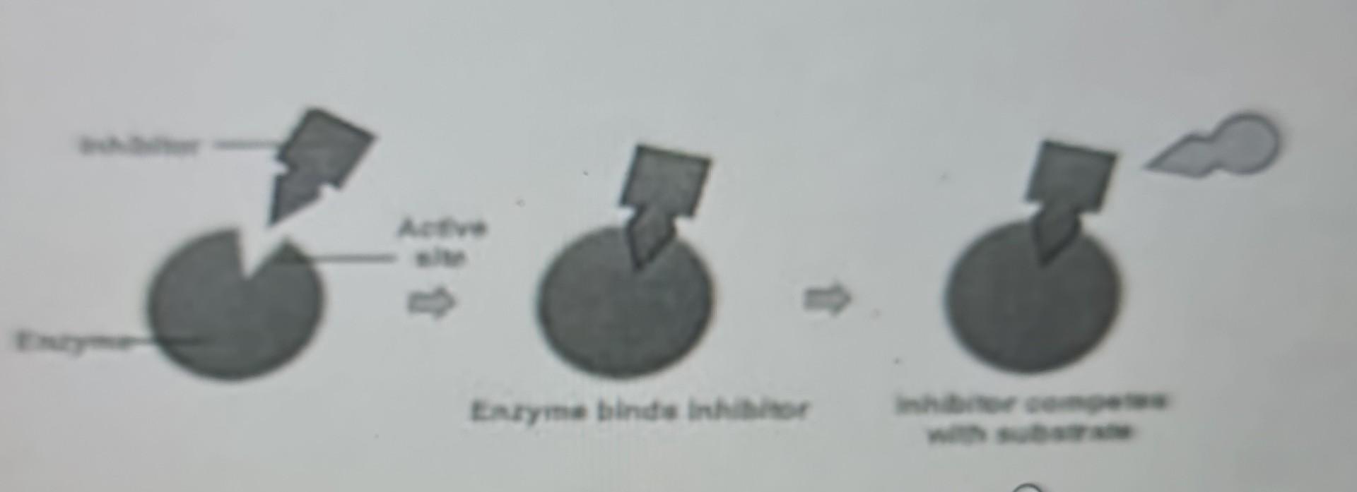 Solved What type of inhibition occurs from the below | Chegg.com